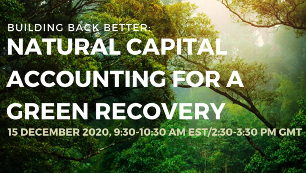 Building Back Better: Natural Capital Accounting for a Green Recovery ...